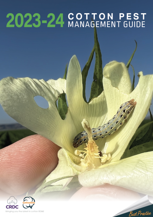 Cotton Pest Management Guide 2023-24 | CRDC